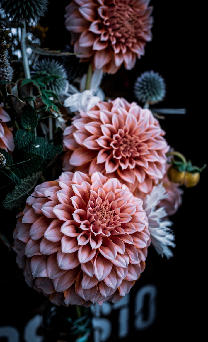 The Wildstyler - Floral Design for Flower Junkies